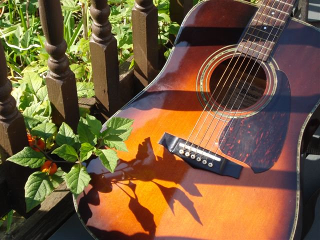 Performances – Rob Mullen Jr.